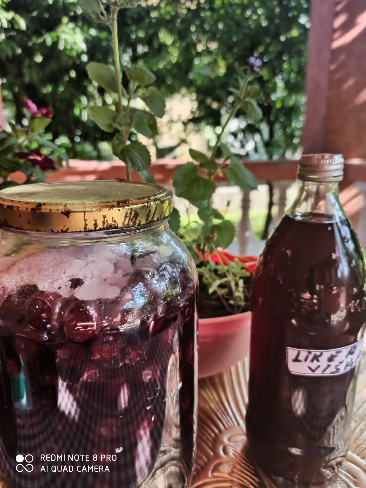 Domaci likeri - Domaća hrana